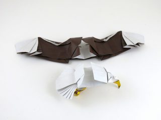 Bald Eagle／ハクトウワシ | Katsuta Kyohei ORIGAMI